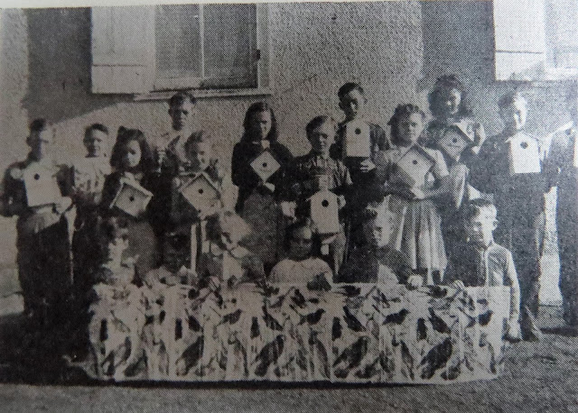 A Retrospective in Nature - Travels With Birds