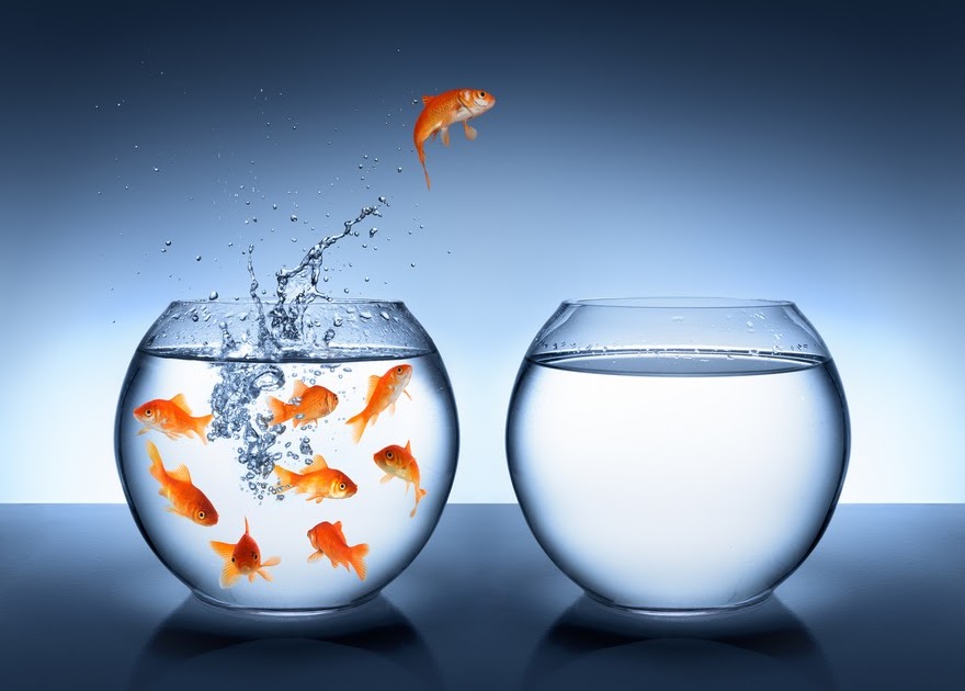 Oser, cet art indispensable à la réussite