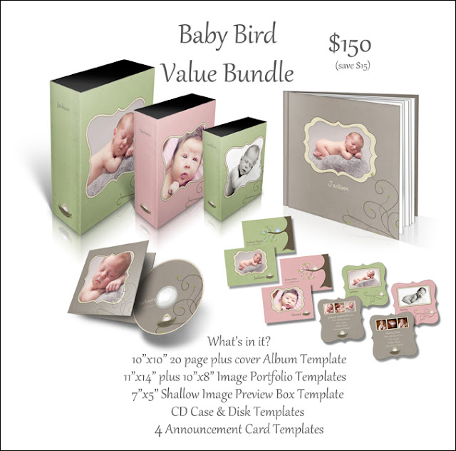 Hourglass Photography & Design: Baby Bird Template