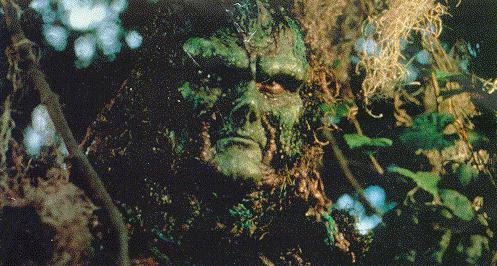 Swamp Thing (1990 TV series) ja Swamp Thing (1991 animated mini-series)