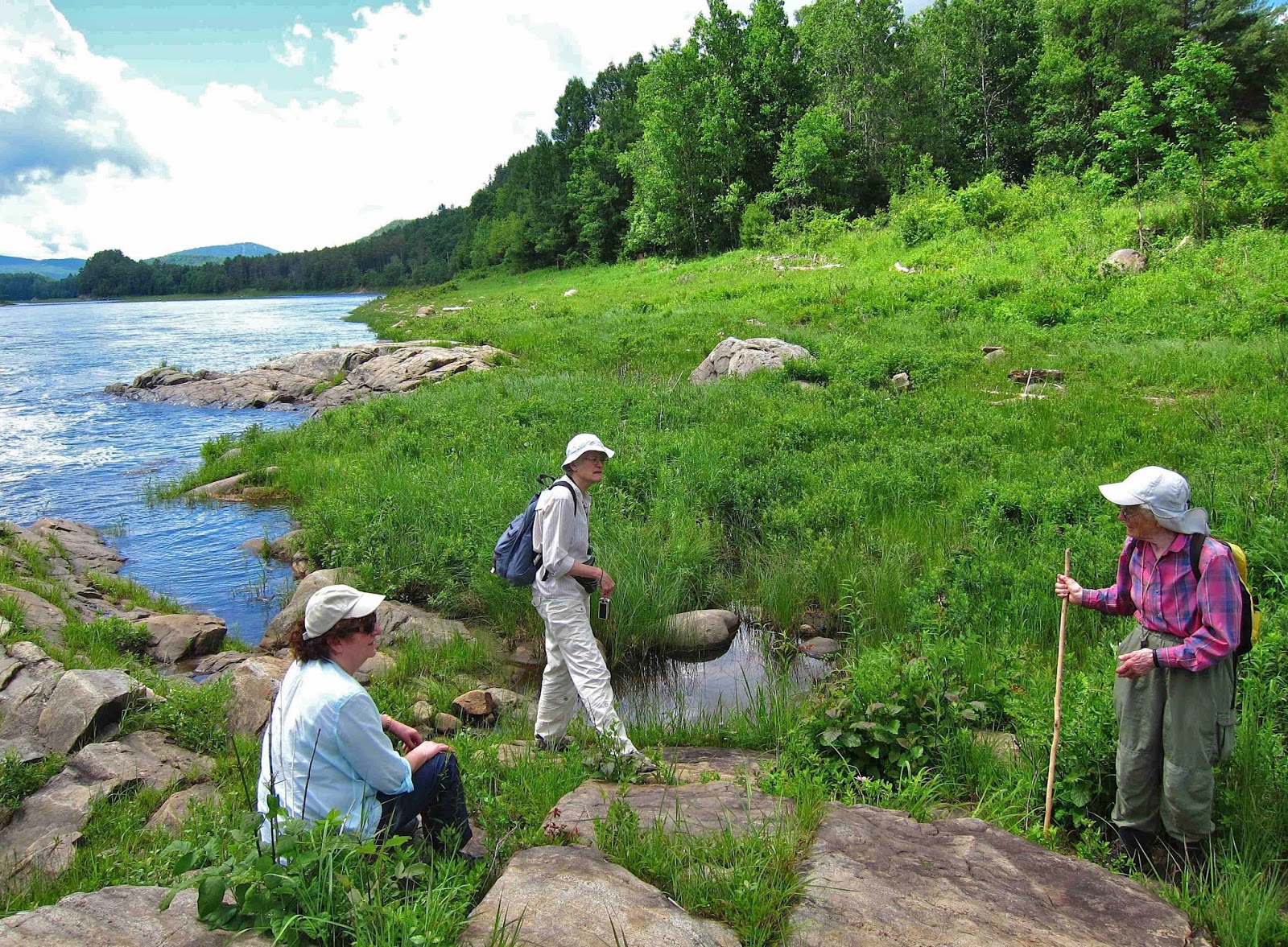 Saratoga woods and waterways: Flower-hunting With Friends On the Ice ...