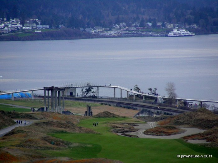 Chambers Bay Bridge