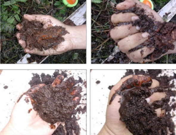 Tanah Gambut Adalah - Ciri-ciri, Sifat Fisik Tanah Gambut, Sifat Kimia, Jenis Tanah Gambut ...