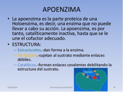 ESTRUCTURA DE LAS ENZIMAS ~ ESTRUCTURA DEL ADN Y ENZIMAS