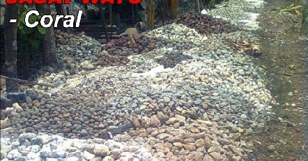 BATU ALAM SEMARANG: BATU CORAL