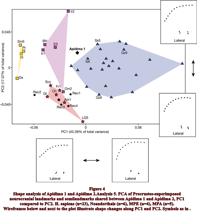 Αριστομένης ο Μεσσήνιος: Apidima Cave fossils provide earliest evidence ...