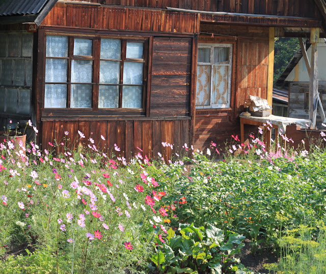 Siberian Life: Dacha