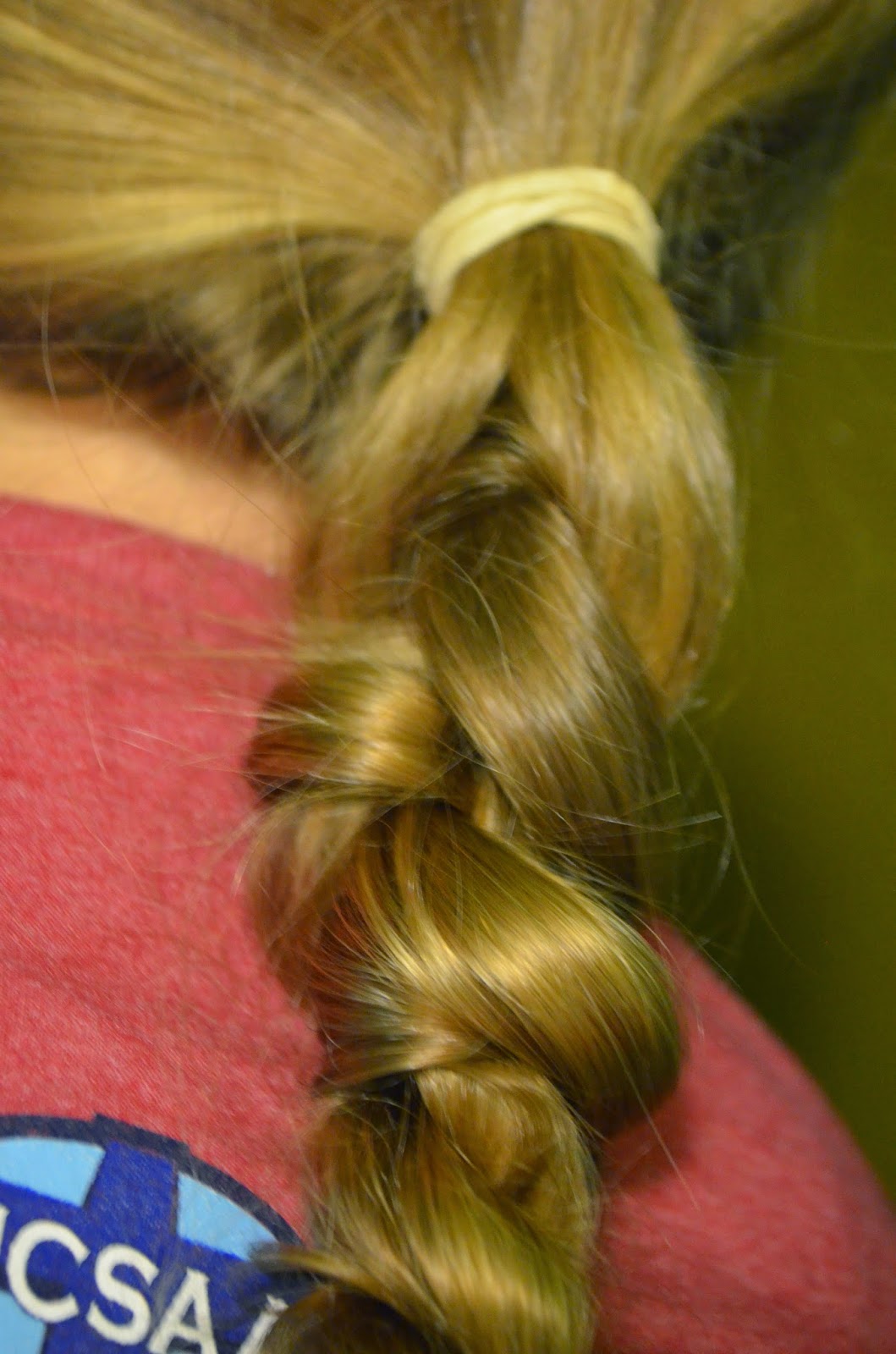 Heart of the Hartmans: Hairstyles by Jenna: 3D Split Braid Waves--FAIL