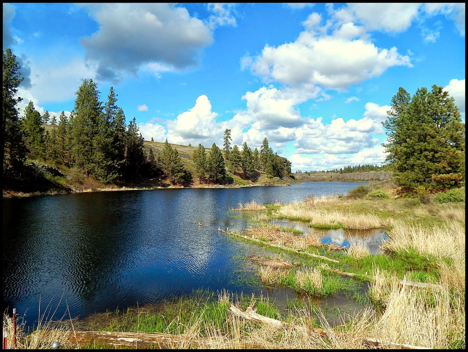 The Back Porch View: Hog Lake in the FIsh Trap BLM, WA