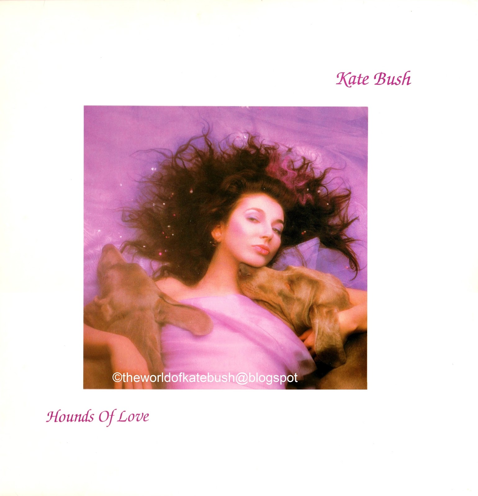 The World Of Kate Bush Hounds Of Love Uk Promotional Press Kit