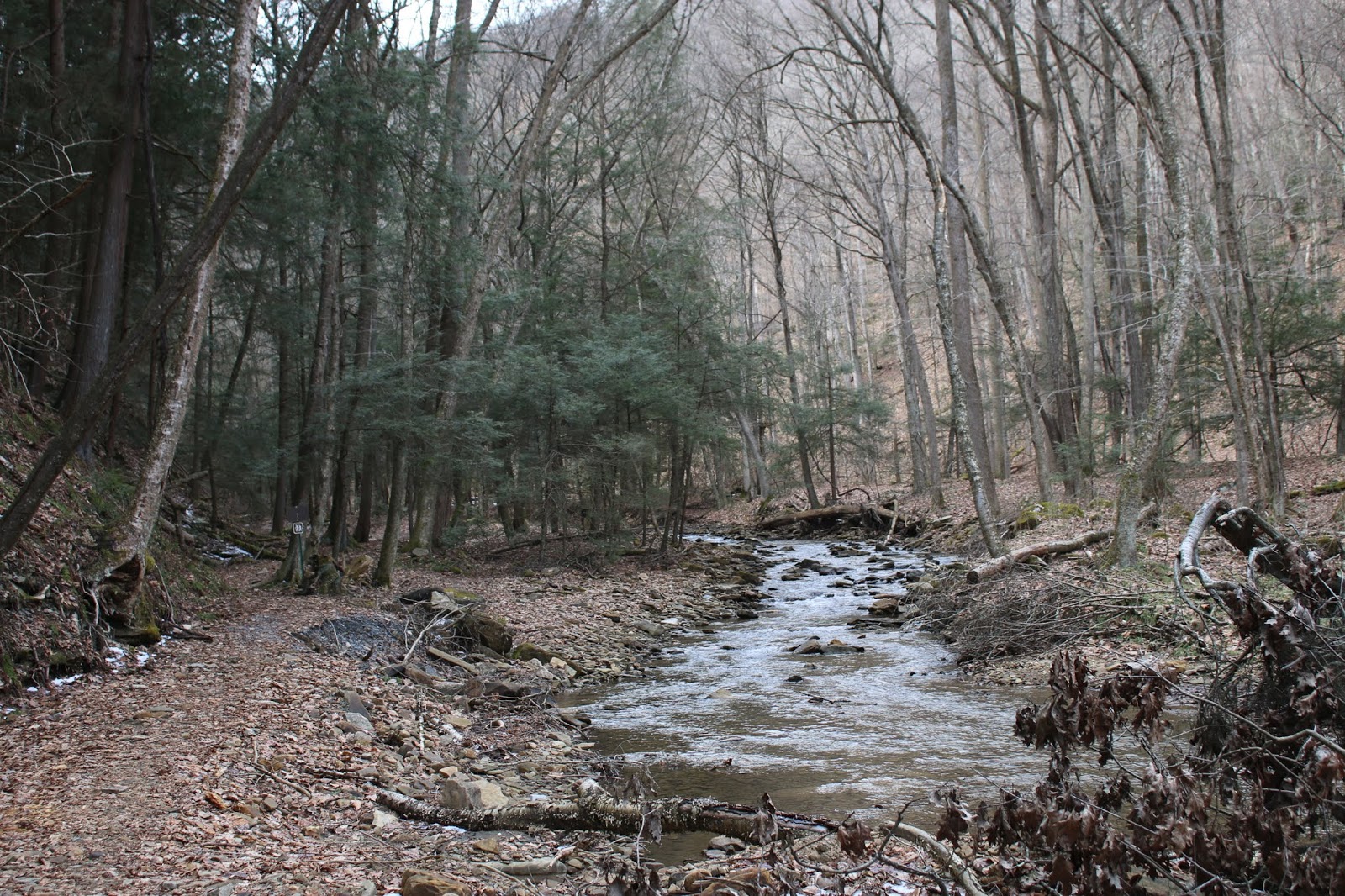 Hiking to Dennison Point Overlook & Allegheny River Gorge at the ...