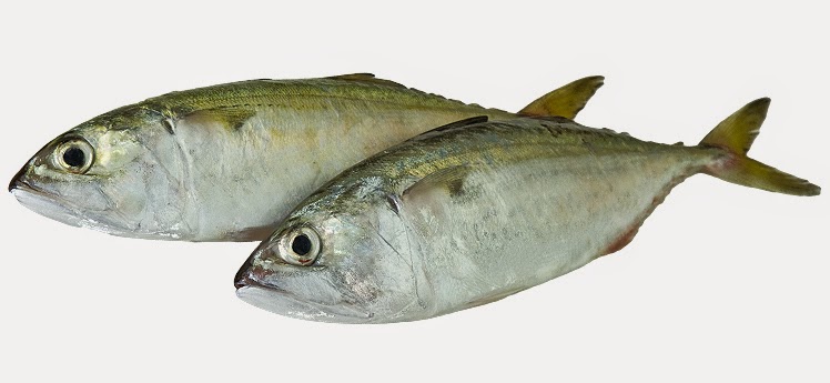 That Skinny Elephant: April 2015