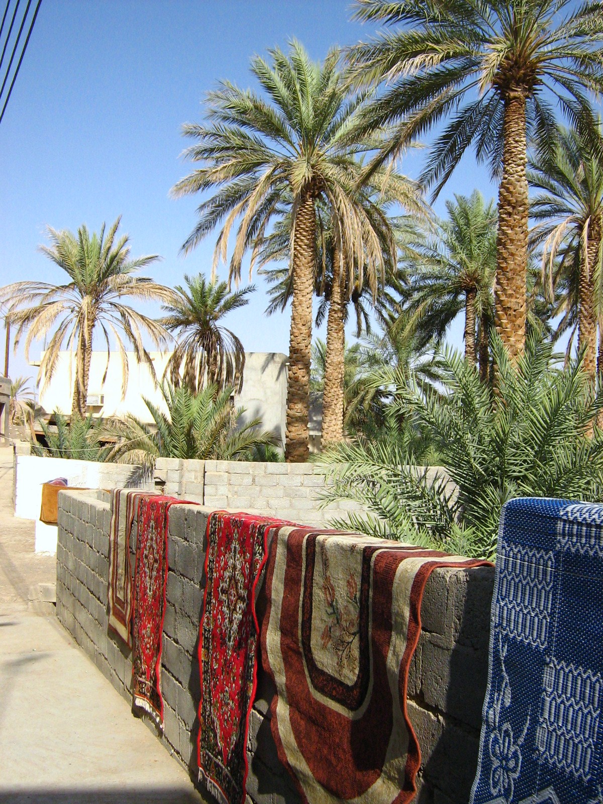 Go with Henry: Sleepy Ibri