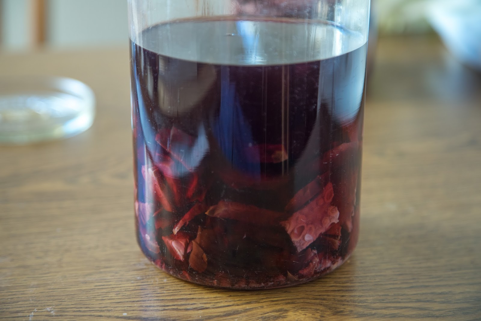 Zirbenschnaps selber machen | Vom Zirbenzapfen zum Zirbenschnaps