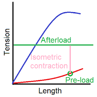Year 11 Misadventures: Cardiac Loads