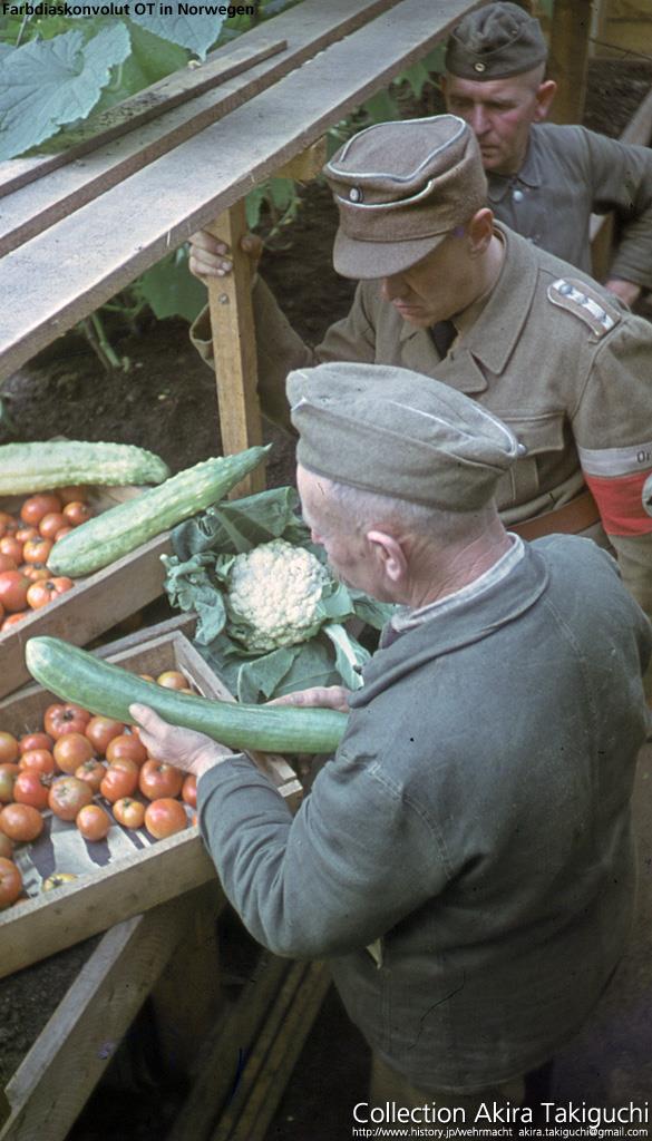 World War II in Color: OT (Organisation Todt) in Norway