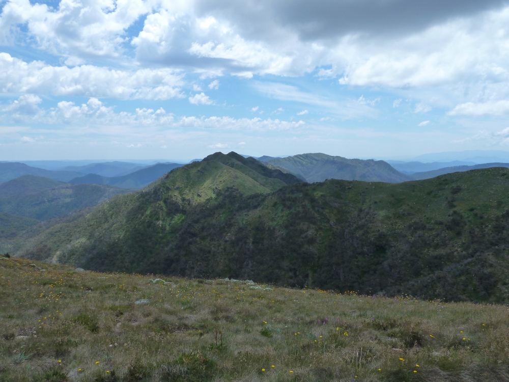 Back To Nature:: Howitt Trk - Alpine NP - VIC