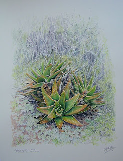 Gerhard Marx: Biography