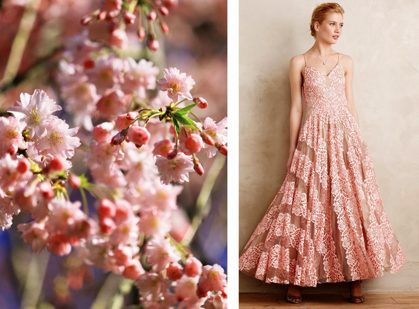 Morris Arboretum: Natural Fashionista: Gowns Inspired by Spring Blooms