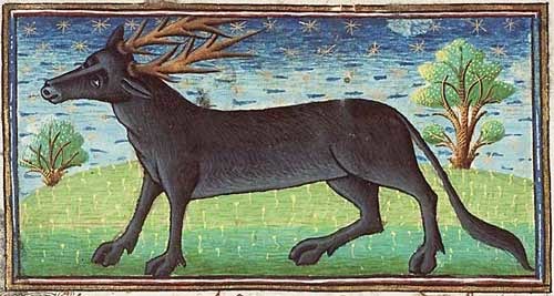 Of Mythic Creatures Great and Small: P