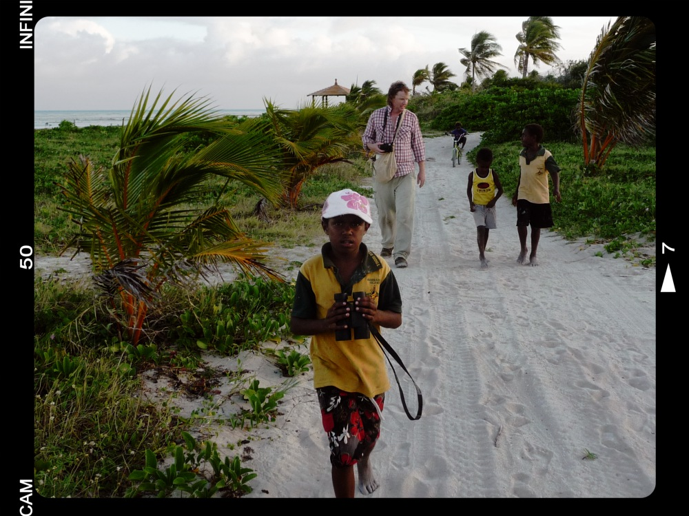 Blackwood Ecological Services: WILDLIFE SURVEYS & MANAGEMENT