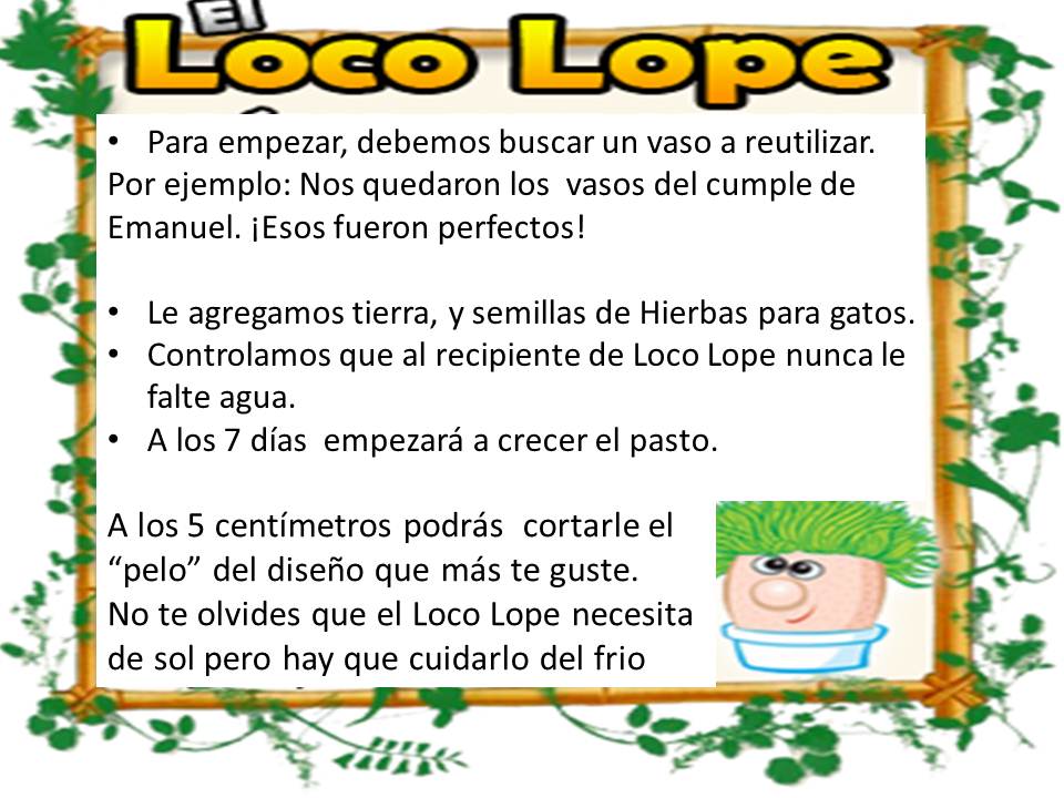 BIBLIOTECA ESCUELA ARGENTINA GENERAL BELGRANO: LOCO LOPE