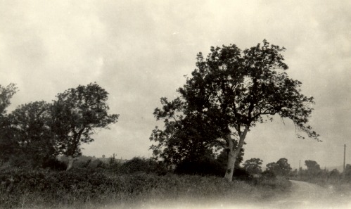 A Carefully Loaded Ship: WASHBURN ANCESTRAL PHOTOS - England