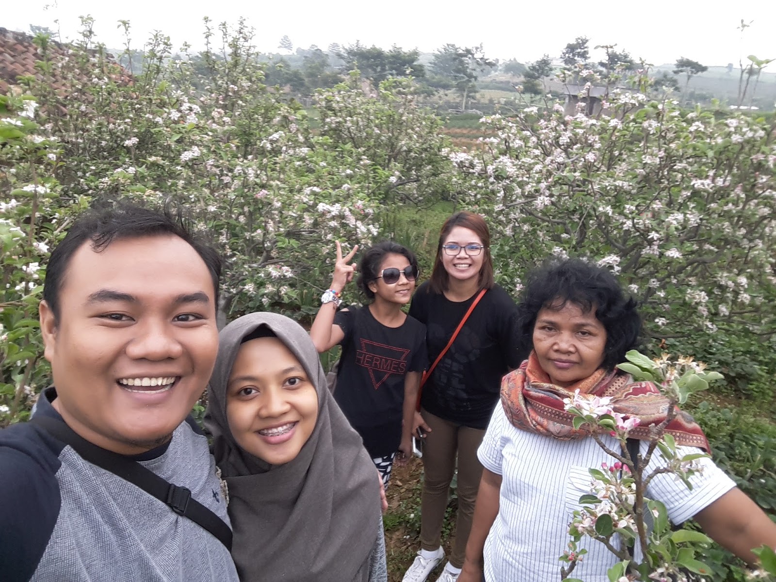 Mendadak Panen di Wisata Petik Apel - Batu, Malang! - Meykke Santoso