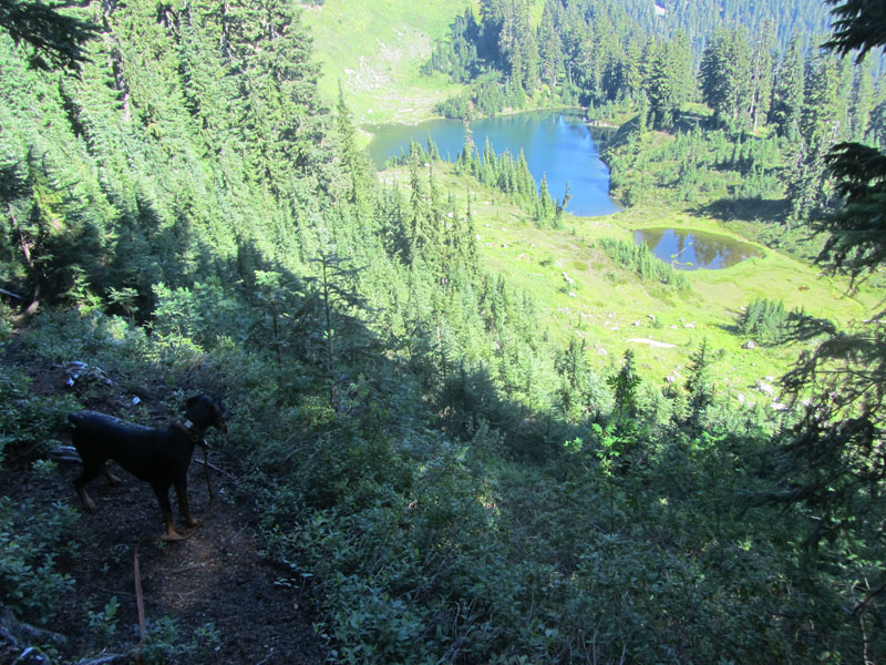 The Quilting Doberman: Johnson Ridge, Sunrise Mt, Scorpion Mt, Joan ...
