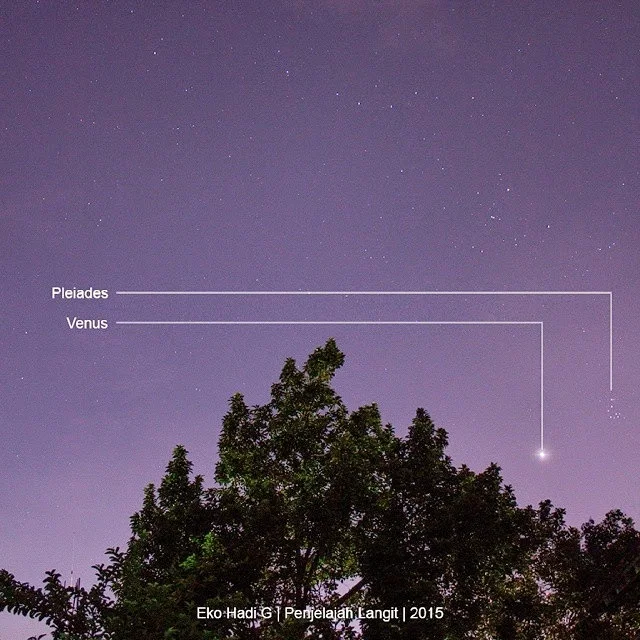 Venus Berdampingan dengan Gugus Bintang Pleiades Akhir Pekan Ini - Info ...