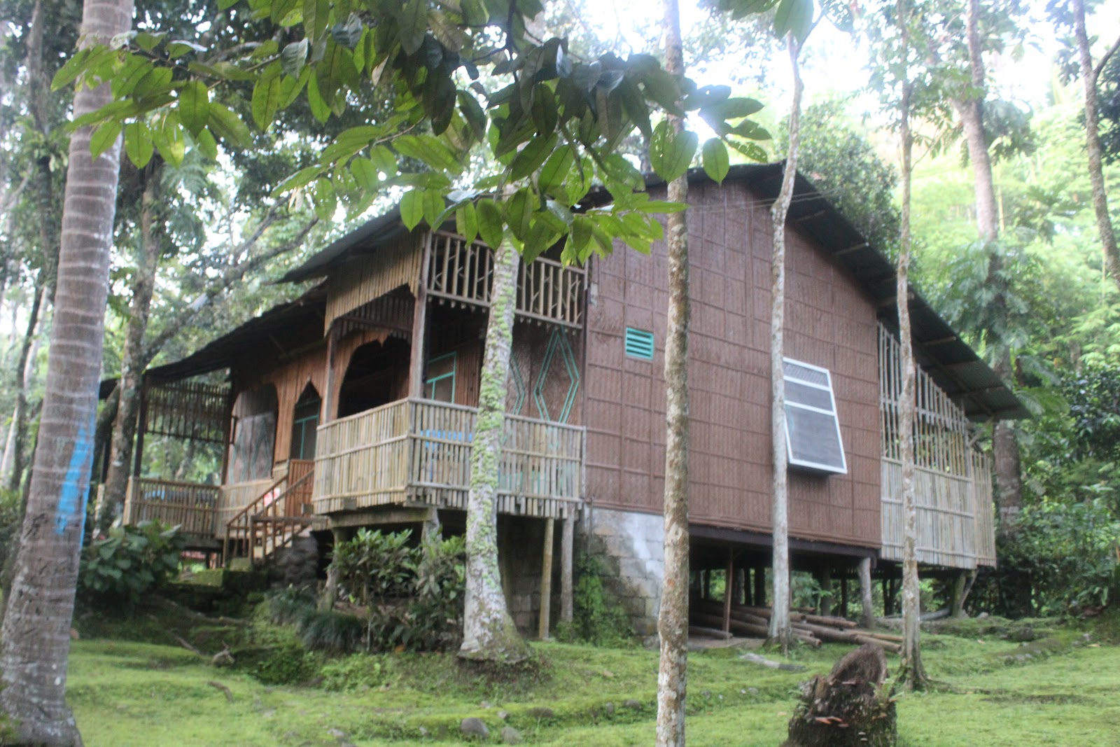 LEXICAL CROWN: LILIW RESORT: A COMPLETELY LUSH FOREST PARADISE