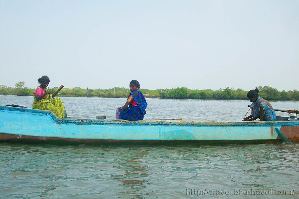Pichavaram Mangrove (Cuddalore - Tamil Nadu) | My Travelogue - Indian ...