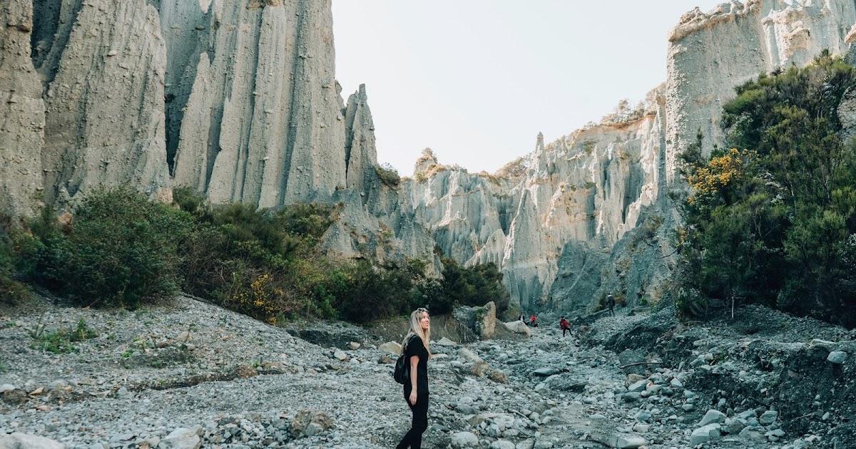 Cape Palliser: the rugged end of the North Island, NZ | Day Trip Guide ...