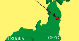 【SENDAI】The traditional taste "Zunda Mochi"