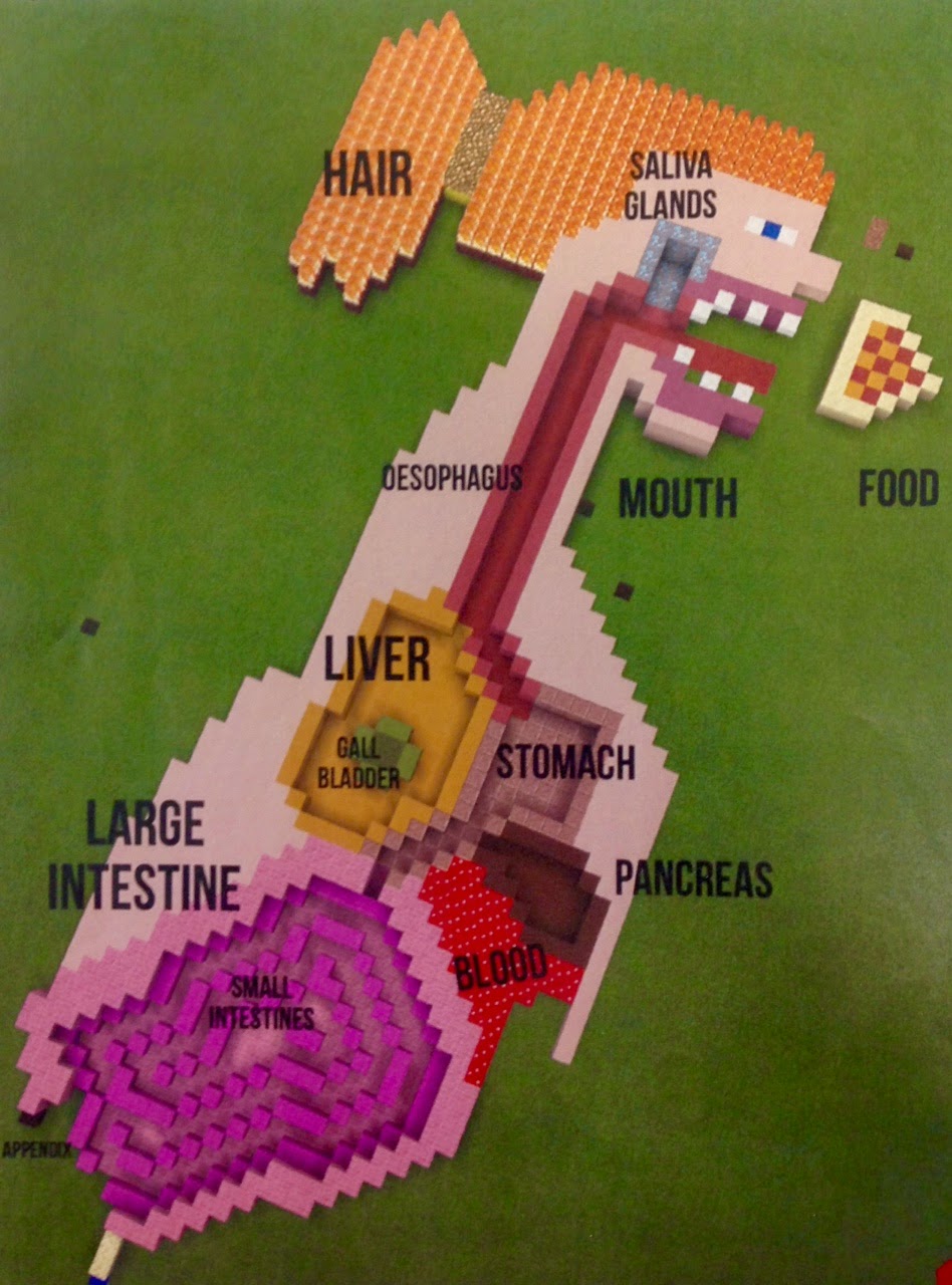 NZ Teacher: Minecraft in the Classroom