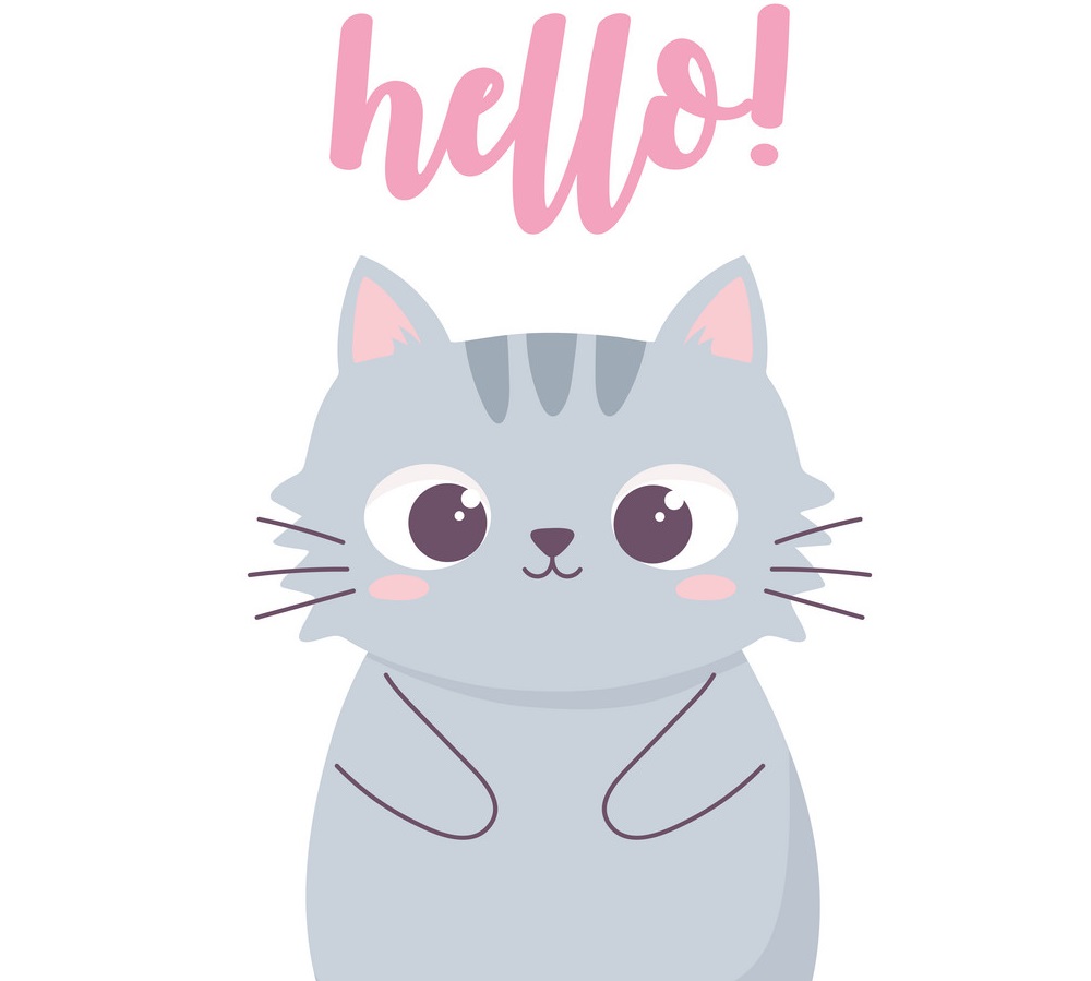 E.P N°39 "IGNACIO FERMIN RODRIGUEZ": Actividades de inglés - 3ro A y B ...