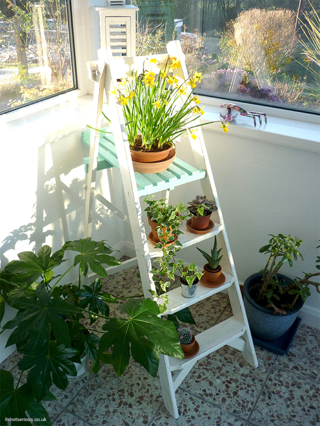 It's Not Serious!: DIY - Old Ladder to Plant Shelf