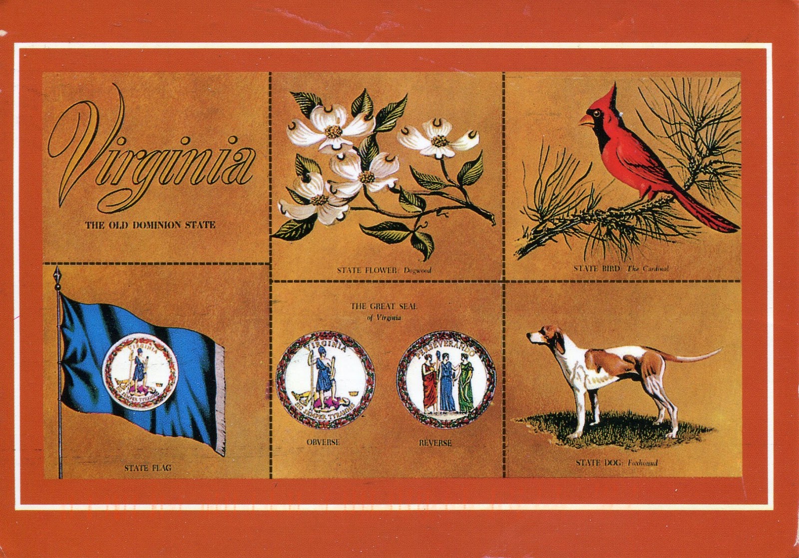 Massachusetts State Bird Flower