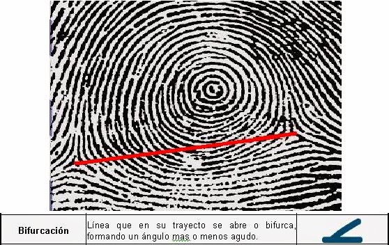 Sistema Dactiloscopico