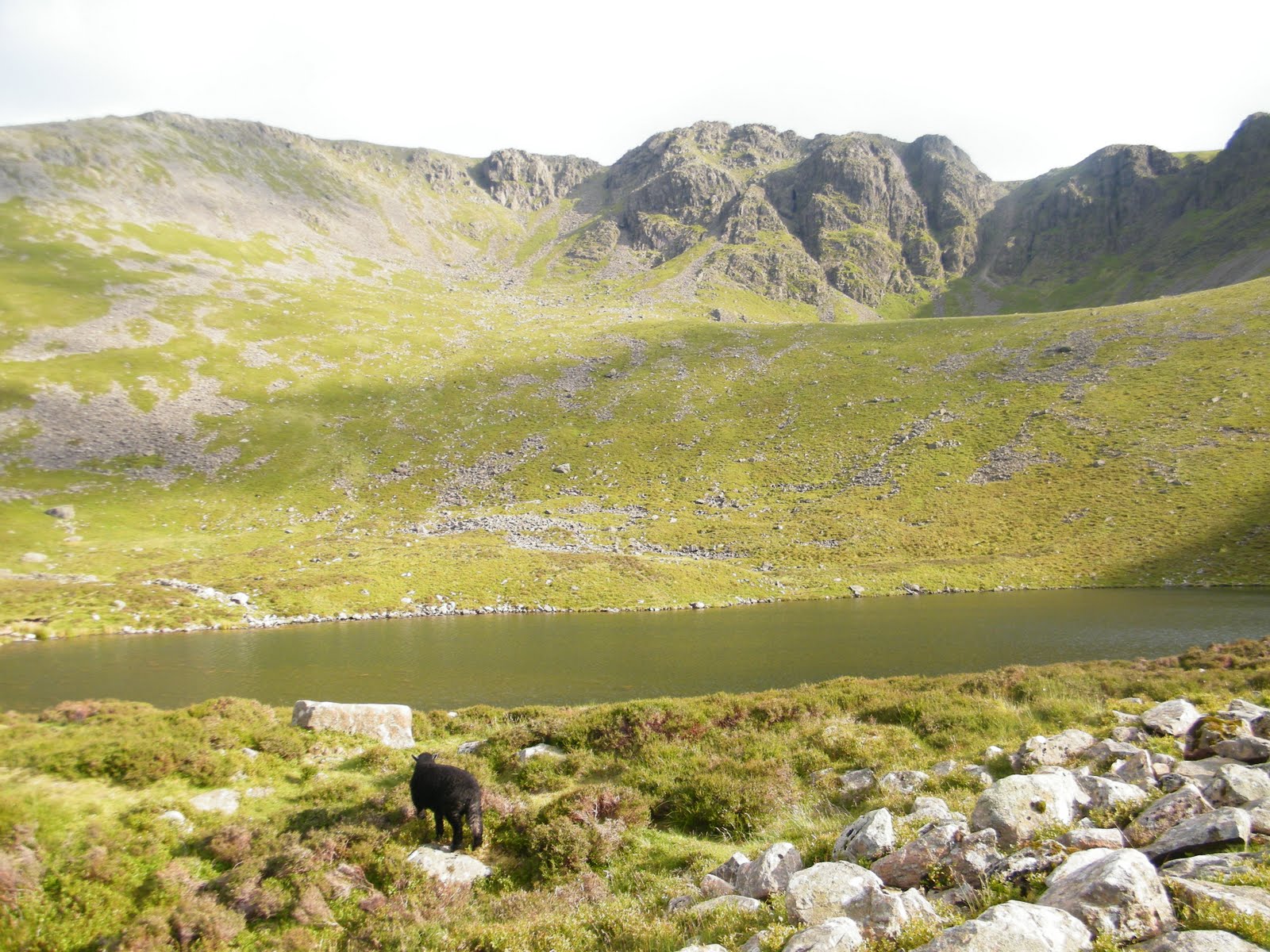 Mal & Marion Tabb: July 2011