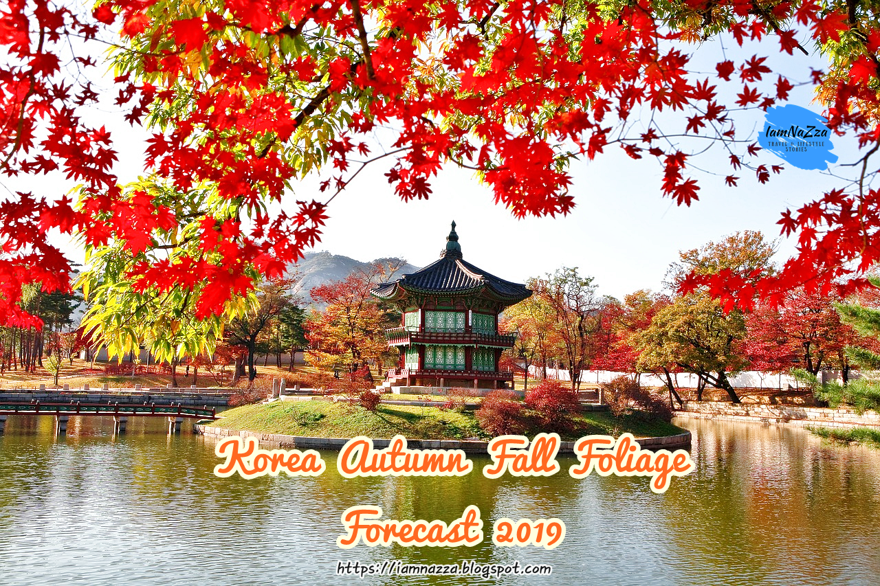 พยากรณ์ใบไม้เปลี่ยนสี เกาหลี ปี 2019 - 2019 Korea Fall Foliage Forecast ...