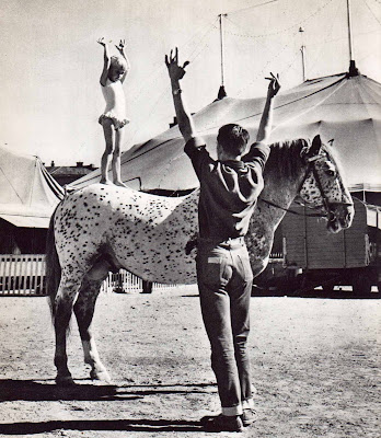 The Circus "NO SPIN ZONE": 02/11/12