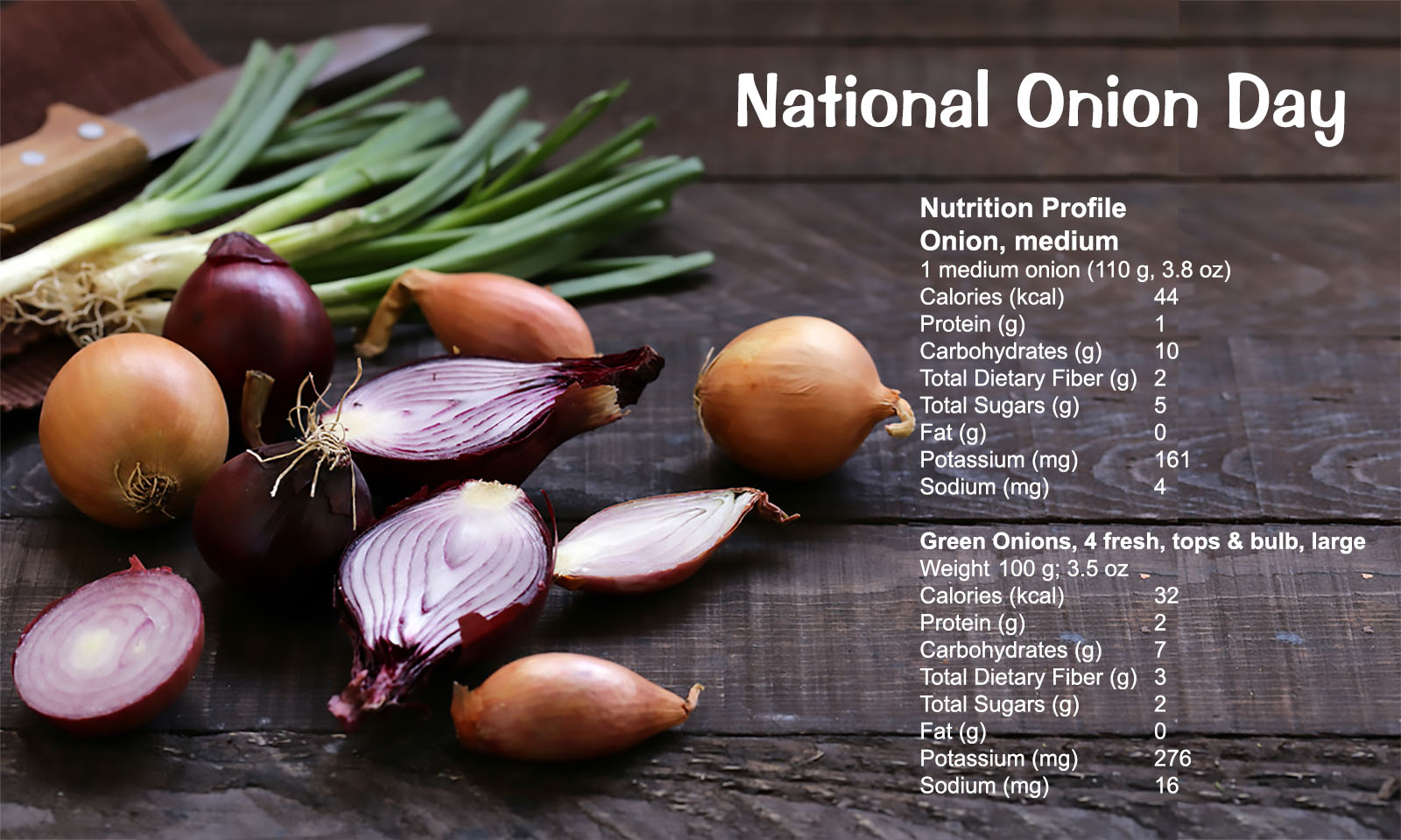 Dietitians Online Blog