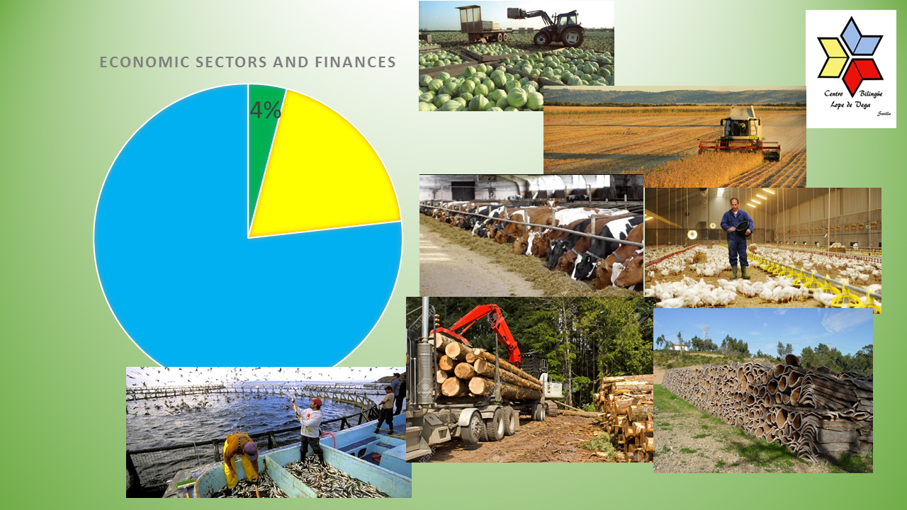 .: Unit 6 ECONOMIC SECTORS AND FINANCE