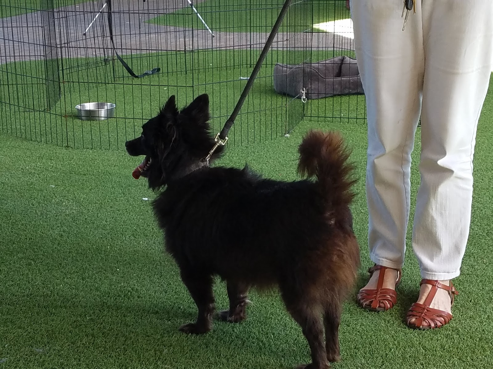 Fristers and Blisters