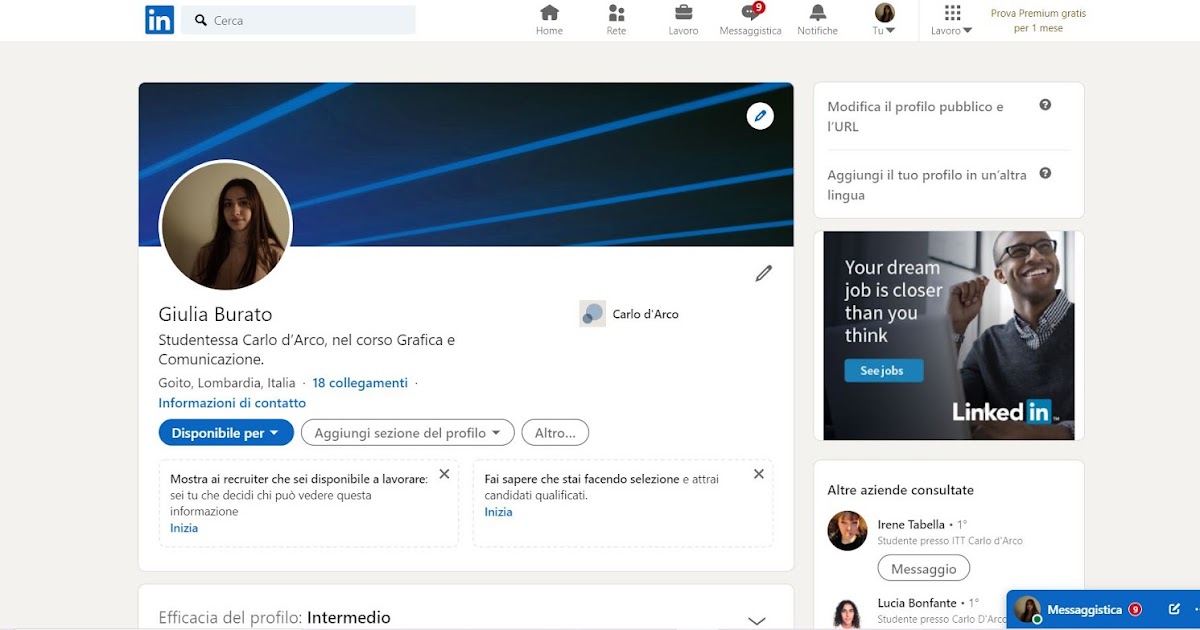 LinkedIn e Curriculum Vitae