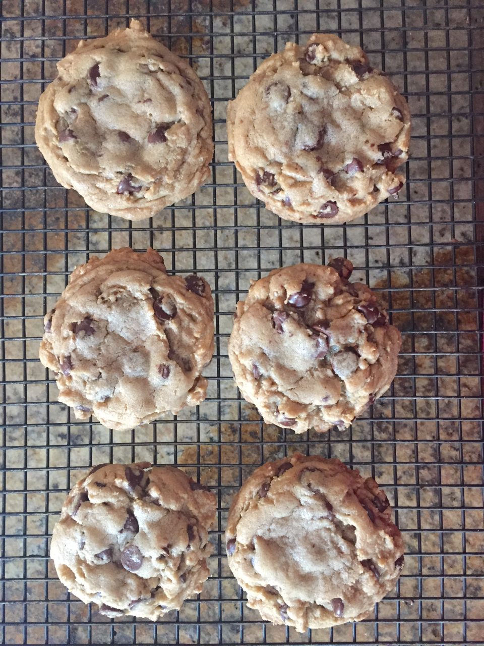 A Happy Carrot: My Life: The Great Chocolate Chip Cookie Experiment