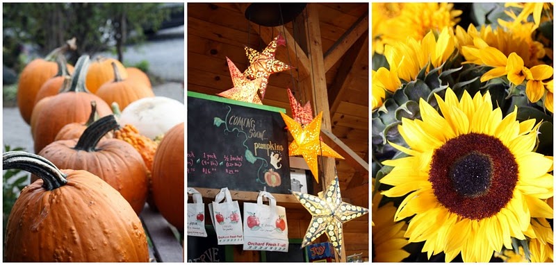 A Kapple a Day: welcome fall + a recipe