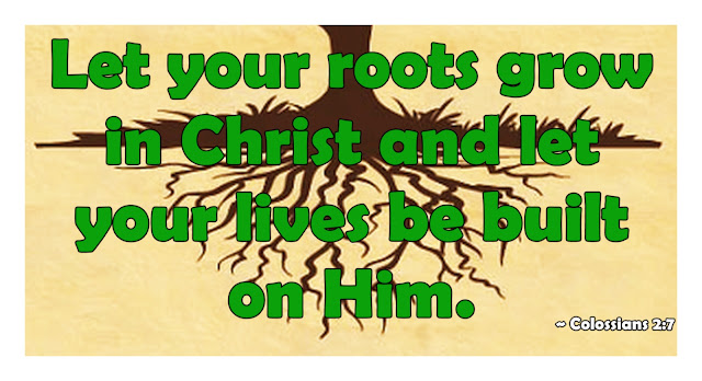 Which book says, "As you received Christ Jesus the Lord, so walk in Him ...