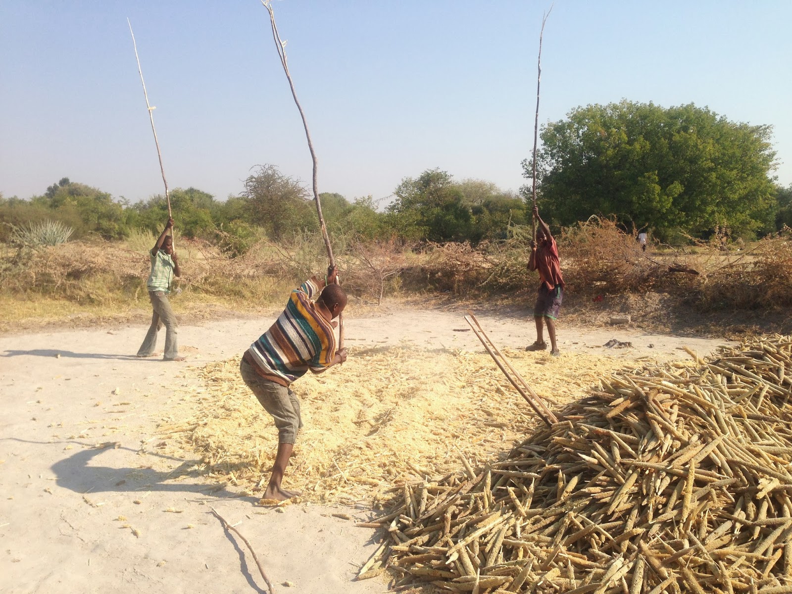 The Oryx Chronicles: Beating Mahangu